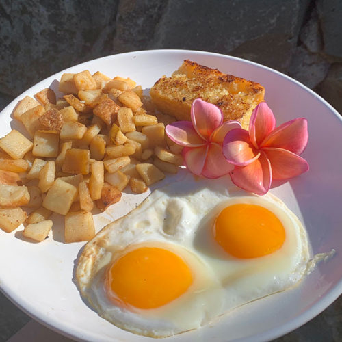 MENU | Ted's Bakery | Sunset Beach Hawaii